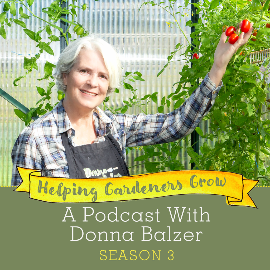 S3 EPISODE 1 – Citizen Seed Trials - Donna Balzer