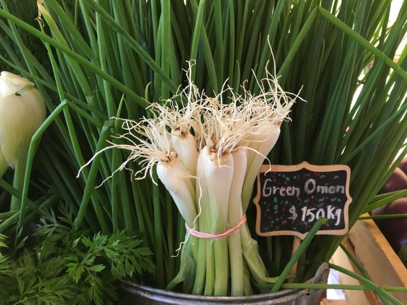 Grow Food In Cold Climates all Winter - Donna Balzer